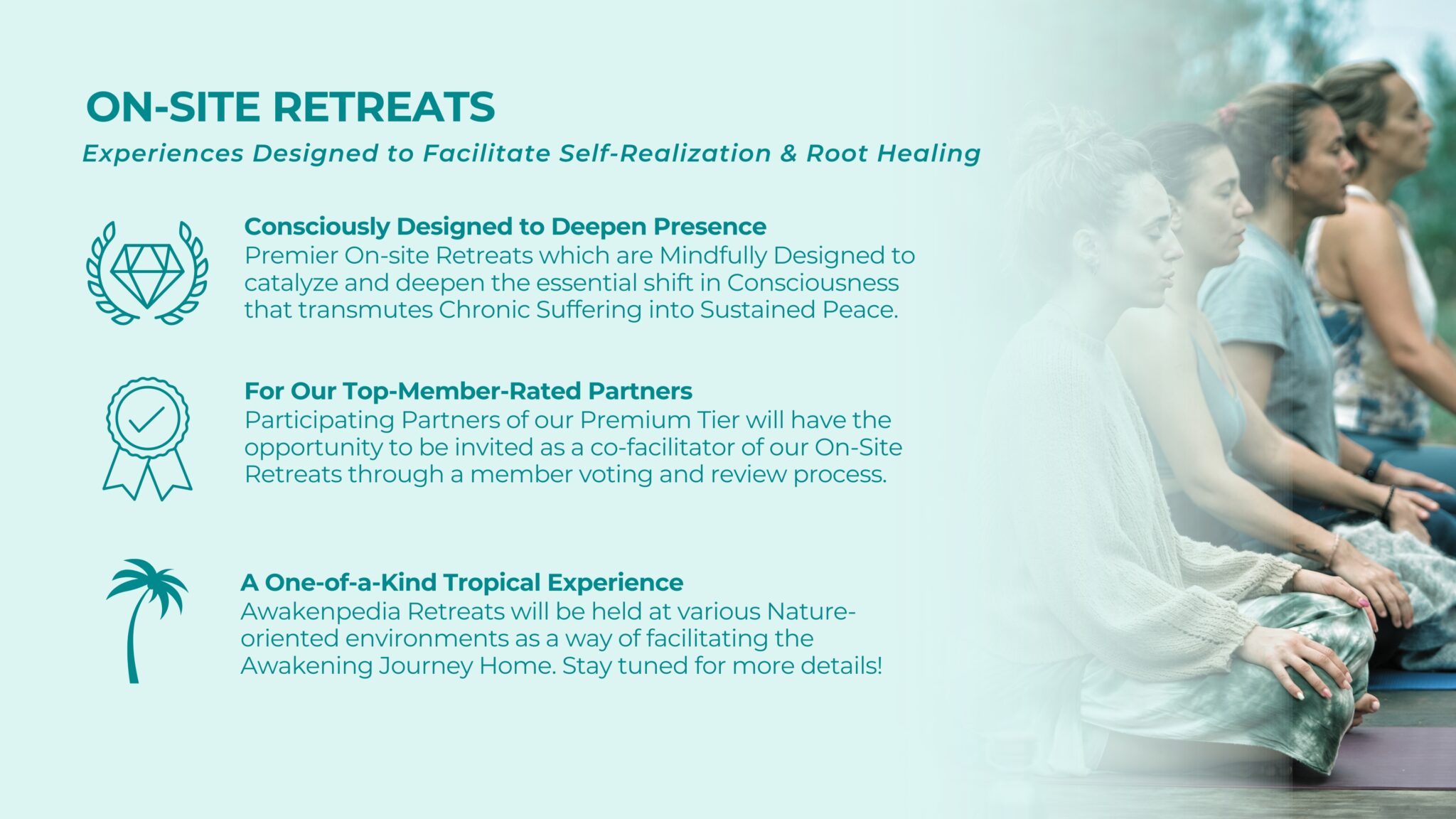 Partner Program Overview | Sign Up Invite | | Awakenpedia